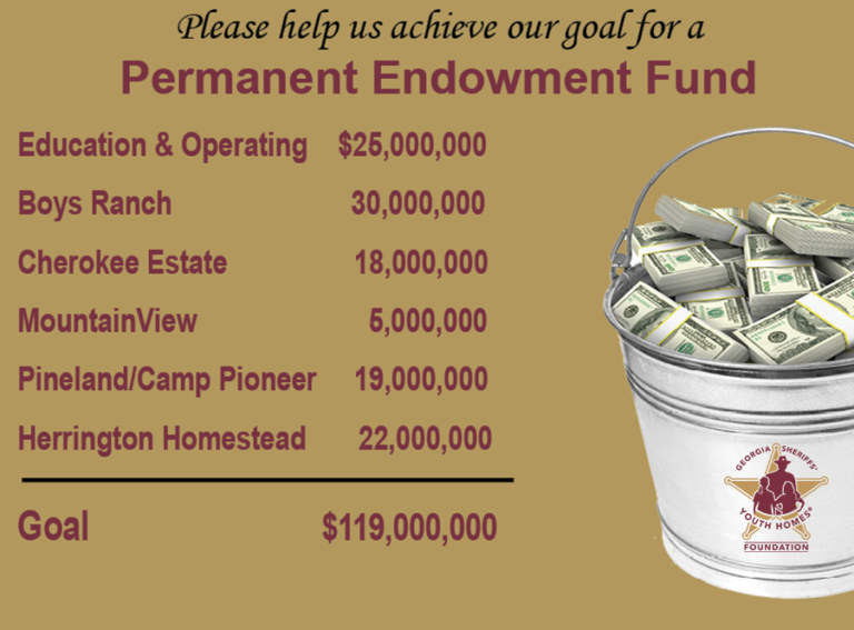 Endowment Campaign - Georgia Sheriffs' Youth Homes Foundation